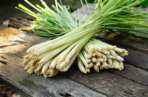 Hierba limón Blog de Cocina Internacional