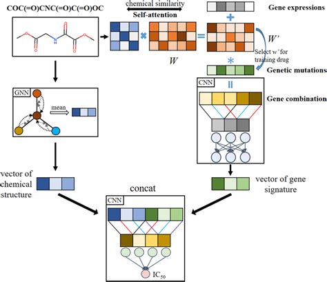 The Overview Of Model Architecture Chemical Structure Gene Expression Download Scientific