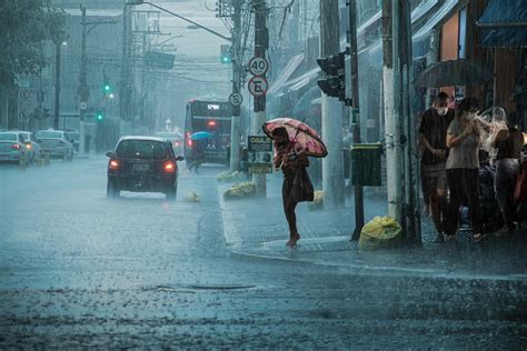 有关下雨天 交通 交通标识 人行道 倾盆大雨 傾盆大雨 公共交通 城市 城市交通 城市环境 城市生活 大雨 天气状况