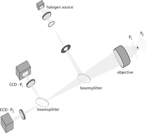 Schematic Representation Of The Optical Setup Of The Curvature Sensor