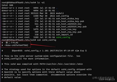 青少年CTF训练平台 SSH01 04SSH 01 隐藏的文件 flag txt SSH 02 配置了ssh和apt查看 掘金