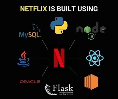 Python Programming Language For Netflix Streaming
