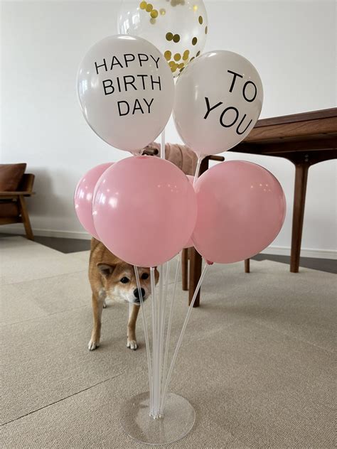 豆柴福ちゃん富くん on Twitter 明日で4歳になる福ちゃんの誕生日会の準備