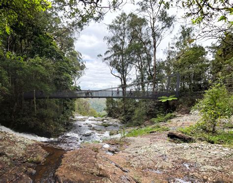 Springbrook Plateau Site Upgrades Project 202528 Parks And Forests