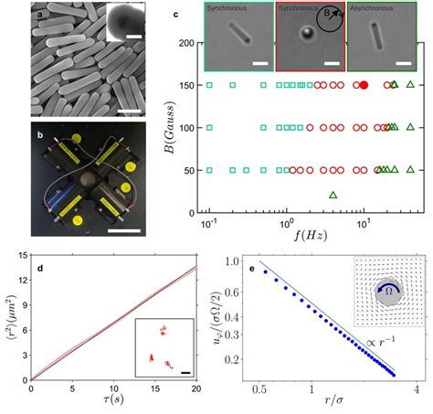 Experimental System And Dynamics Of Single Rotors A An Download Scientific Diagram