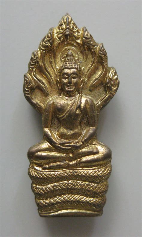 พระนาคปรก หลวงปู่ขาว