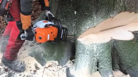 STIHL MS Chainsaw Review Forestry Reviews
