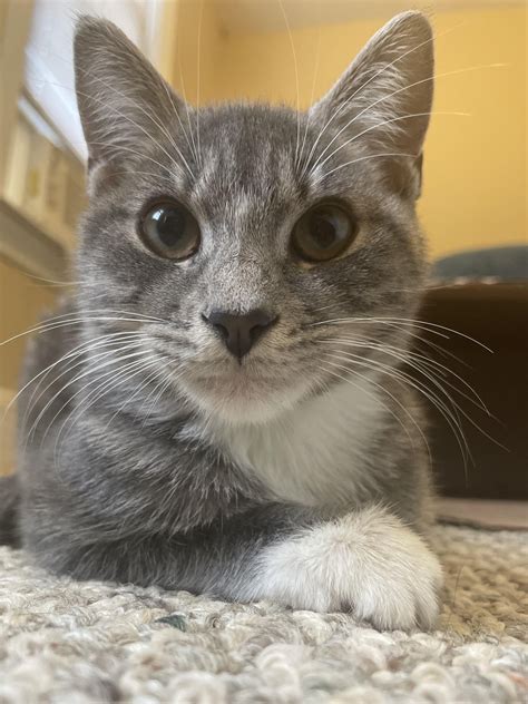 New Album Cover R Gmod