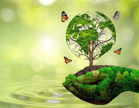 Seraj Hamid Posted On Linkedin