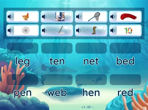 Cvc Bed Net Red Pen Hen Ten Leg Web Match Up