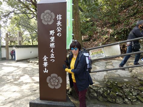 電車でgo 金華山 ドアラ山子とジュビキチさんの金華山・洞山・舟伏山の活動データ Yamap ヤマップ