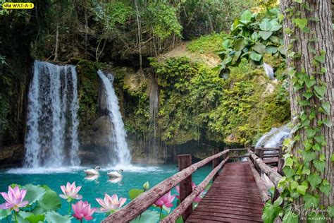 เย็นตาสบายใจ ภาพวิวธรรมชาติน้ำตก แต่งบ้านสวยงามน่าอยู่ โรงงาน วอลเปเปอร์ติดผนัง สวยงาม มีระดับ