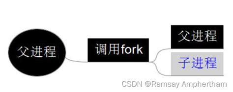 【c语言】理解 Linux父进程与子进程c语言 父子进程 Csdn博客