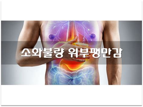 훼스탈 플러스 소화제 성분 효능 효과 복용법 부작용 가격 주의사항 편의점 셀룰라제 판크레아틴 시메티콘 우루사 네이버 블로그