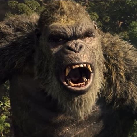 King Kong Scene Beautiful Gorilla In Jungle