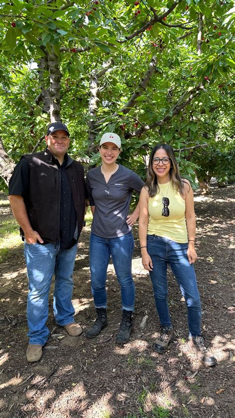 Jessica Oliva On Linkedin Redcherries Rainiercherries Buyproduce