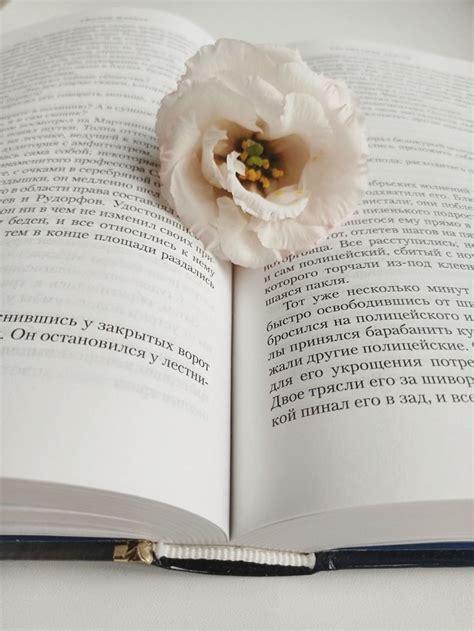 Пин от пользователя V Lingerie на доске Книги фото творчість в 2024 г Книга цветы Цветы