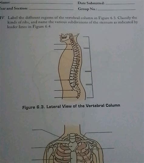 Vame Date Submitted Ear And Section Group No Studyx