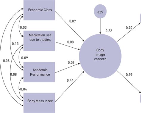 Structural Model Adjusted To The Sample Of Female College Babes Download Scientific Diagram