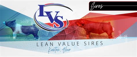 Have Faith Lean Value Sires