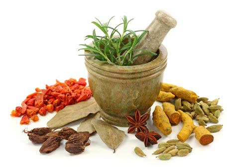 Ayurvedic Remedies For Energy And Immunity During Festival Season