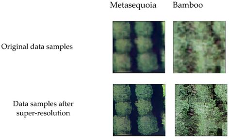 Tree Species Classification In Uav Remote Sensing Images Based On Super Resolution