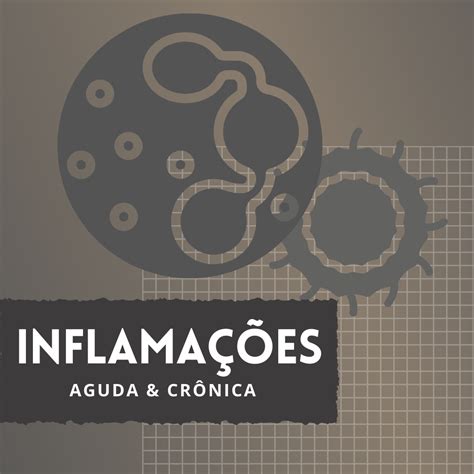 Inflamações Aguda E Crônica Patholovers
