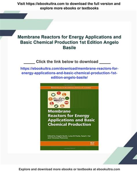 Membrane Reactors For Energy Applications And Basic Chemical Production