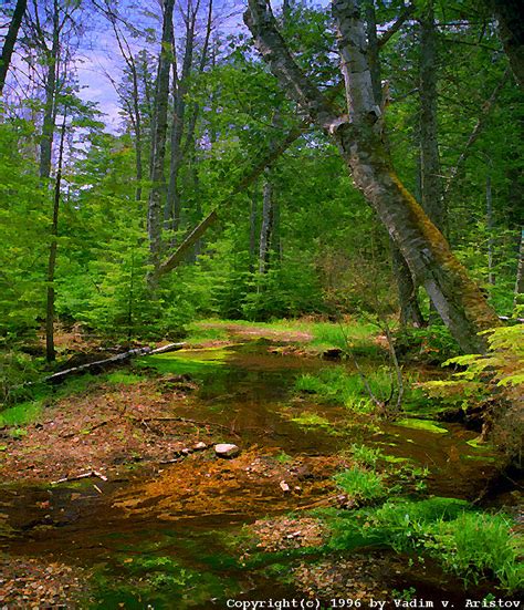 Windows Wallpaper To Download