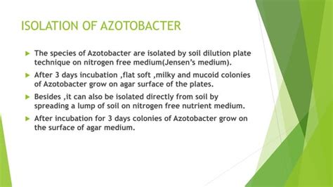 Azotobacter Pptx Agriculture Industries