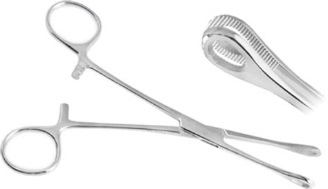 Forester Sponge Forceps Standard Piercing Nu