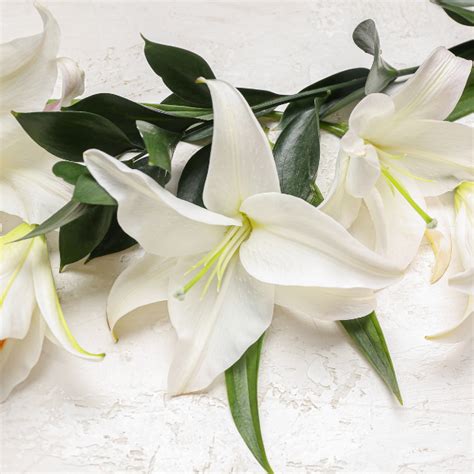 In Memory Yorkshire Air Ambulance