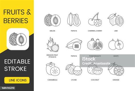 과일과 열매 전체 및 얇게 썬 벡터 라인 아이콘 세트 편집 가능한 스트로크 오렌지와 코코넛 리치와 카람볼라 포도와 석류 파파야와 용 과일과 피타하야 라임과 체리 0명에 대한
