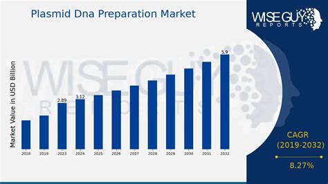 2032 年质粒 Dna 制备市场分析与预测