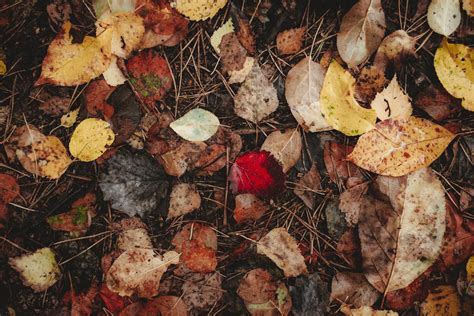 Devops Cover Photo For Linkedin Photos Download The Best Free Devops Cover Photo For Linkedin