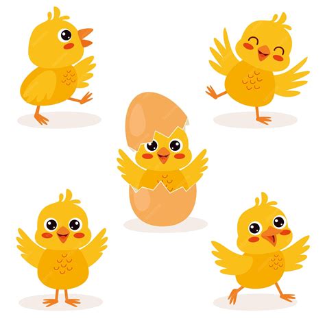 Illustration De Dessin Animé De Poussins Mignons Vecteur Premium