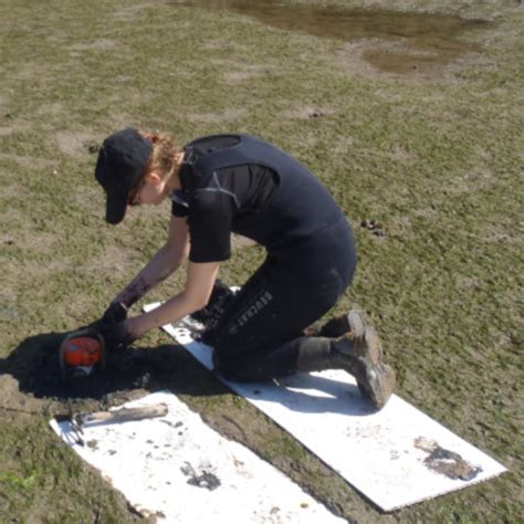 Andrea Del Campo Researcher Master Of Science In Marine