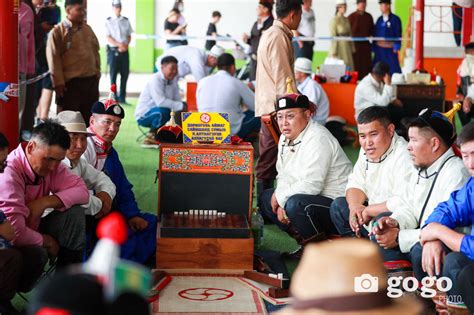 ФОТО Шагайн харвааны асраас