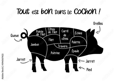 Le Porc Cochon Boucherie Pièces De Viande De Porc Schéma Découpe Du
