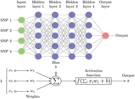 Csse Free Full Text A Novel Deep Learning Based Model For Classification Of Wheat Gene