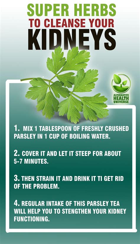 Detox Diets: Cleansing the Body | Kidney detox cleanse, Detox juice ...