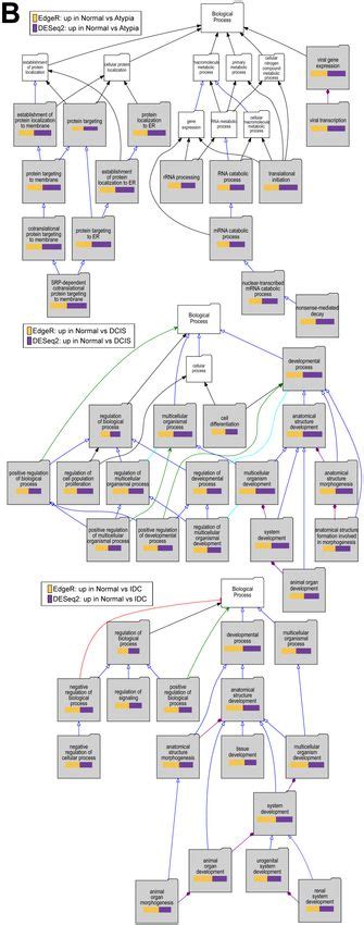 Aligning The Aligners Comparison Of Rna Sequencing Data Alignment And