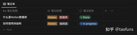 如何在notion建立多级标签体系 知乎