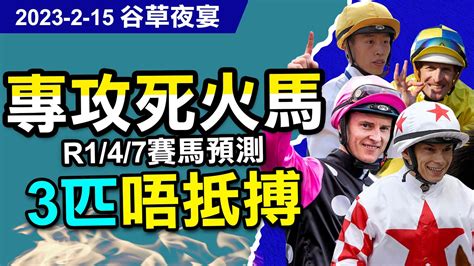 【中佬賽馬預測】2月15日谷草夜宴 專攻3場唔抵搏🔥專攻r1 4 7場死火馬 賽馬預測 💰🔥🐎賽馬賠率賽馬直播 賽馬貼士冷馬過關