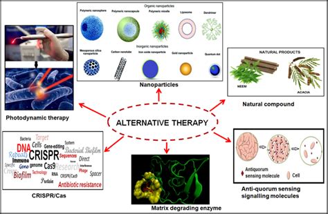 Antibiotics Versus Biofilm An Emerging Battleground In Microbial