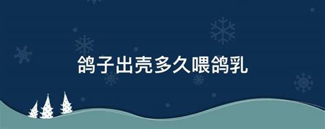 鸽子出壳多久喂鸽乳 业百科