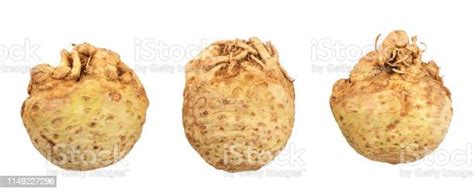 신선한 셀러리 뿌리 흰색 배경에 고립입니다 평면도 플랫 레이 세트 또는 컬렉션 0명에 대한 스톡 사진 및 기타 이미지 0명 3가지 개체 가까운 Istock