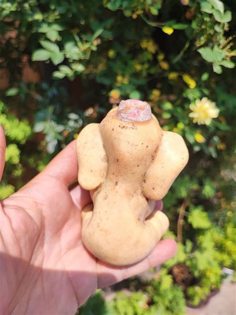 Slonce Biserka Rare 1960 81200269