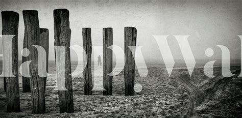 Buy Astray Wallpaper Online Unique Design Happywall