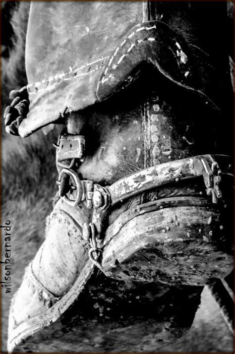 Vaqueiro Nordestino Foto Wilsonbernardo Master Chief Westerns